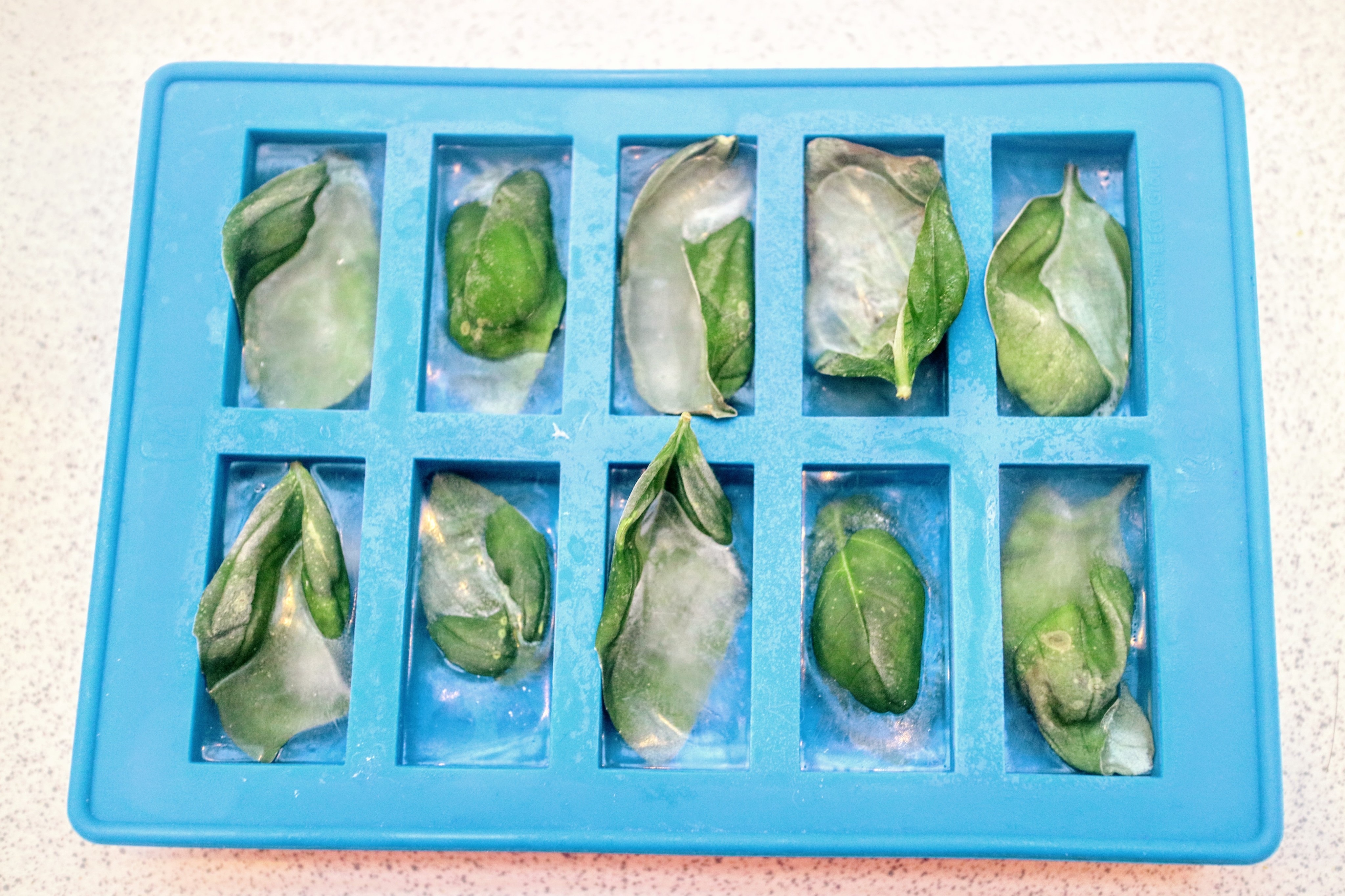 How-To Preserve Herbs In Ice · Technique Tuesday · Cut Out + Keep Craft ...