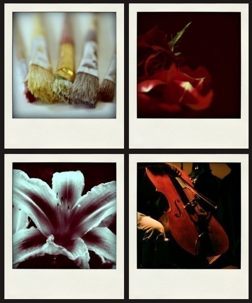 Poloroid Style Photo Edit · How To Make A Photo Manipulation ...