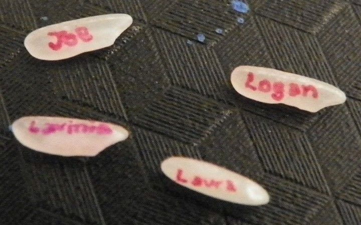 Writing On Rice · How To Make A Misc · Art and Decorating on Cut Out + Keep