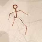 Wireman · A Wire Model · Wirework on Cut Out + Keep · Creation by Owen D.
