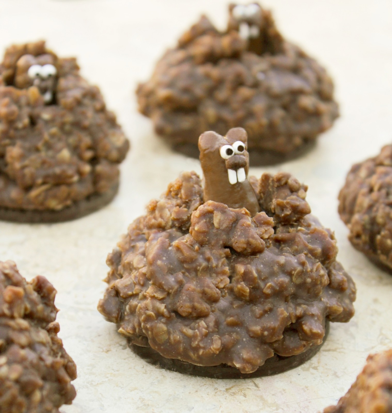 Pop Up Groundhog Cookies How To Bake An Oatmeal Cookie Recipes On 