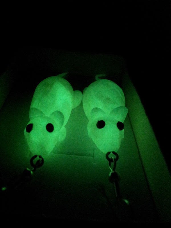 Glow In The Dark Dangly Rat Earrings · How To Make A Pair Of Toy ...