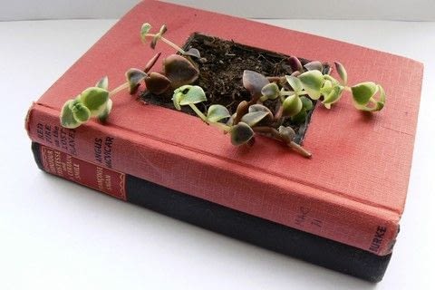 Recycled Book Planters · How To Make A Book Planter · Papercraft on Cut ...