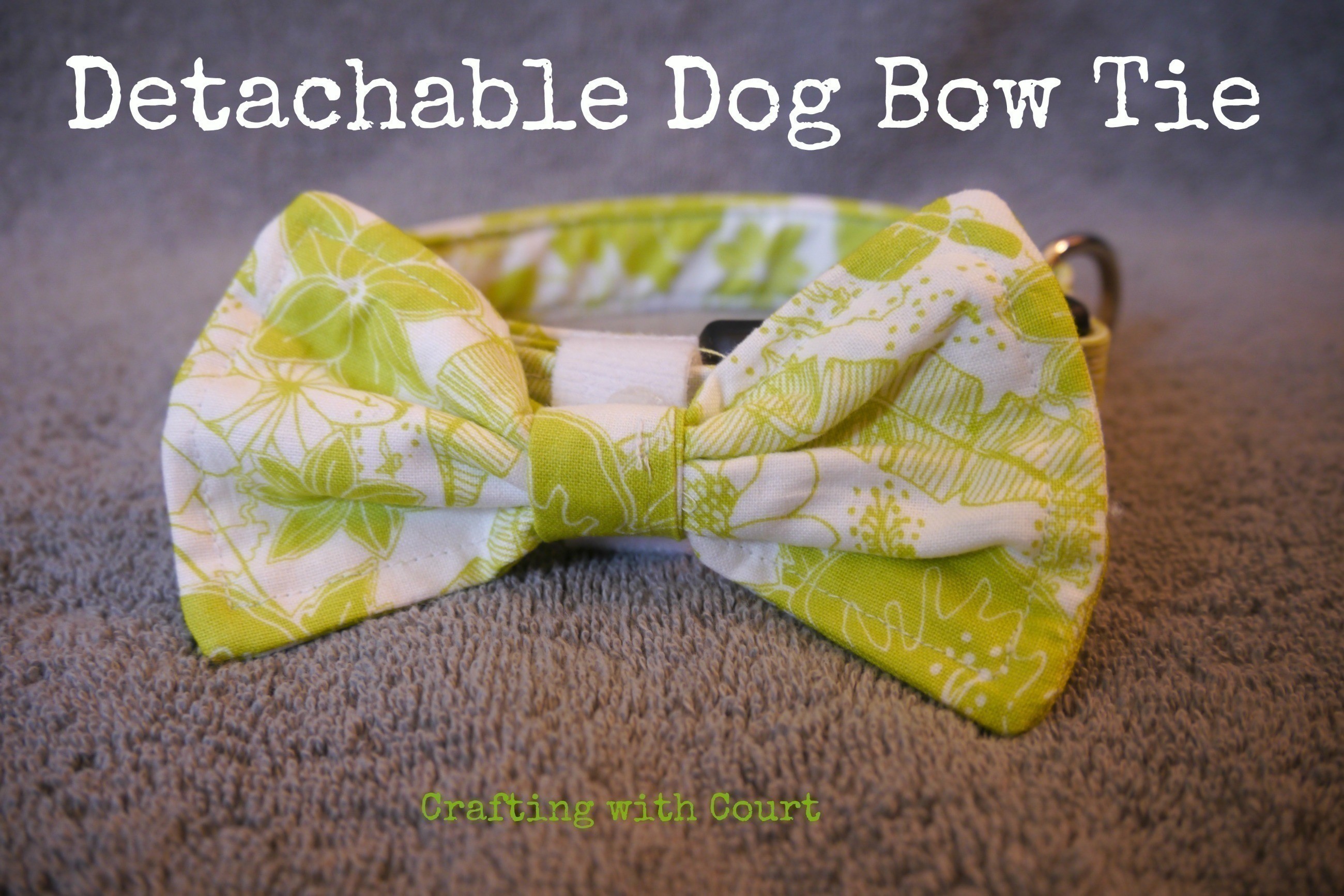 Dog Bowtie Pattern With Elastic Printable PDF Pattern DIY Dog Bow Tie 