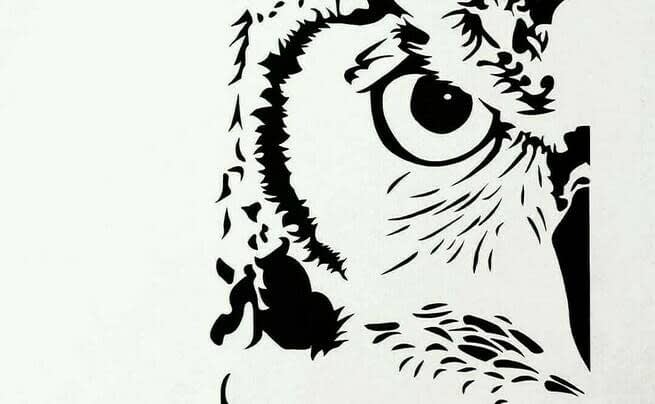 Crafts · Free craft projects, ideas and tutorials using on Cut Out + Keep