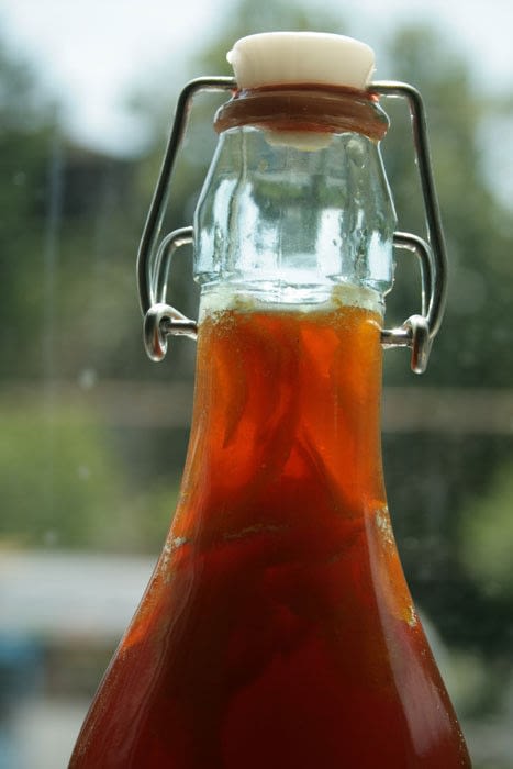 Iced Tea Syrup · How To Make An Iced Tea · Cooking on Cut Out + Keep ...