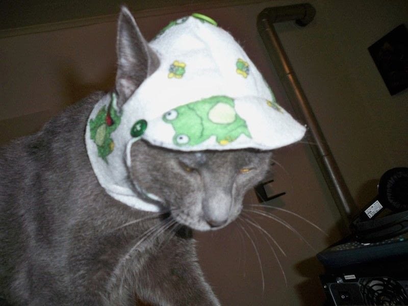 Kat Hats · A Pet Hat · Sewing on Cut Out + Keep · Creation by Ali