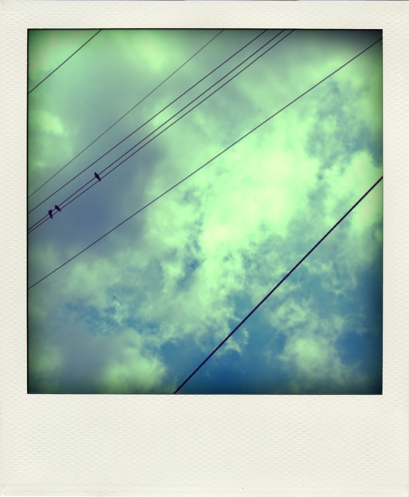 Add Polaroid Toy Camera Effects To Photos A Photo Manipulation 